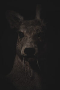 Multivision Porsche Shanghai – Florian W. Mueller – Photography