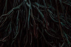 Nimbus – Florian W. Mueller – Photography