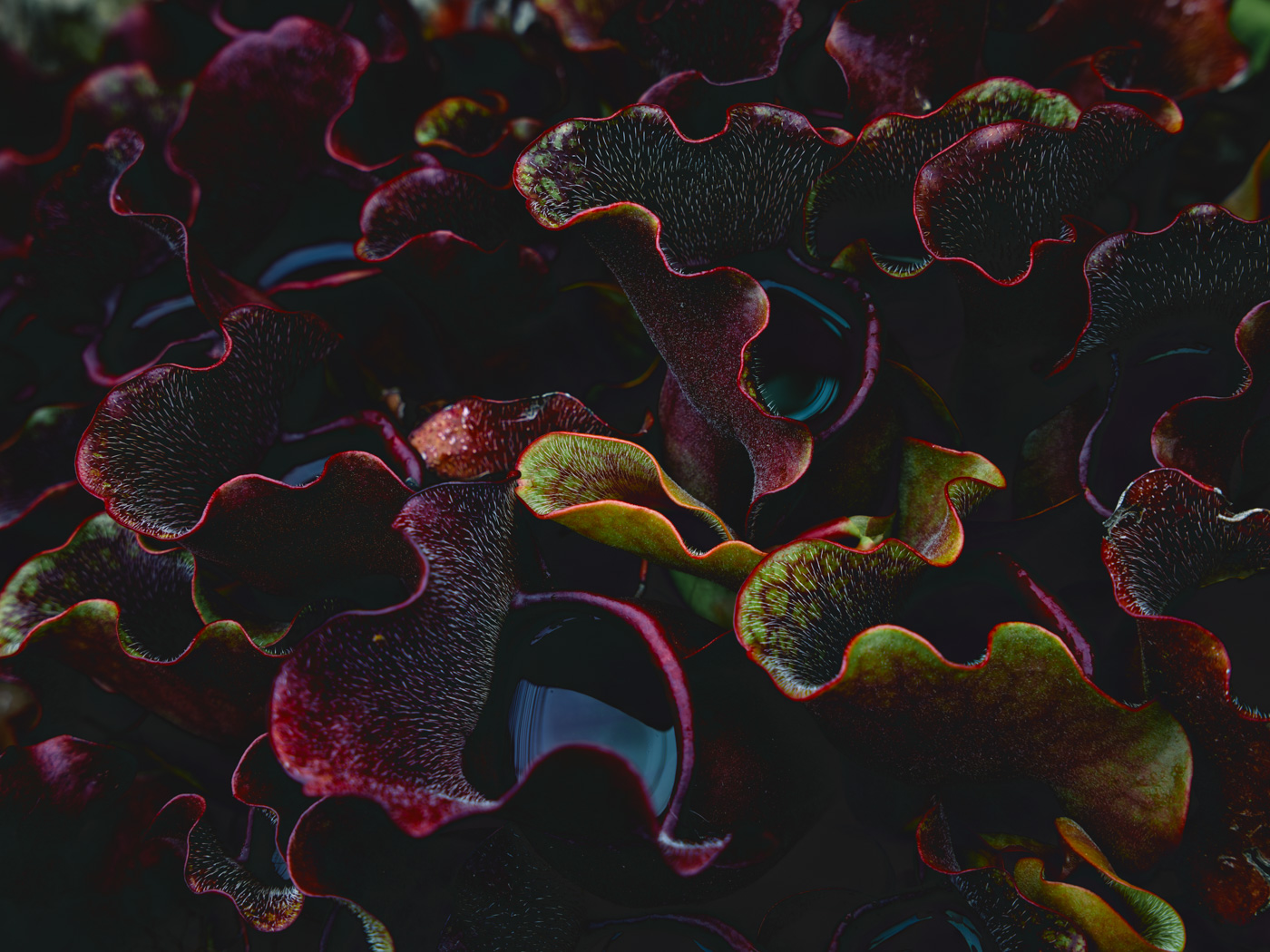 House of Goliath – Florian W. Mueller – Photography